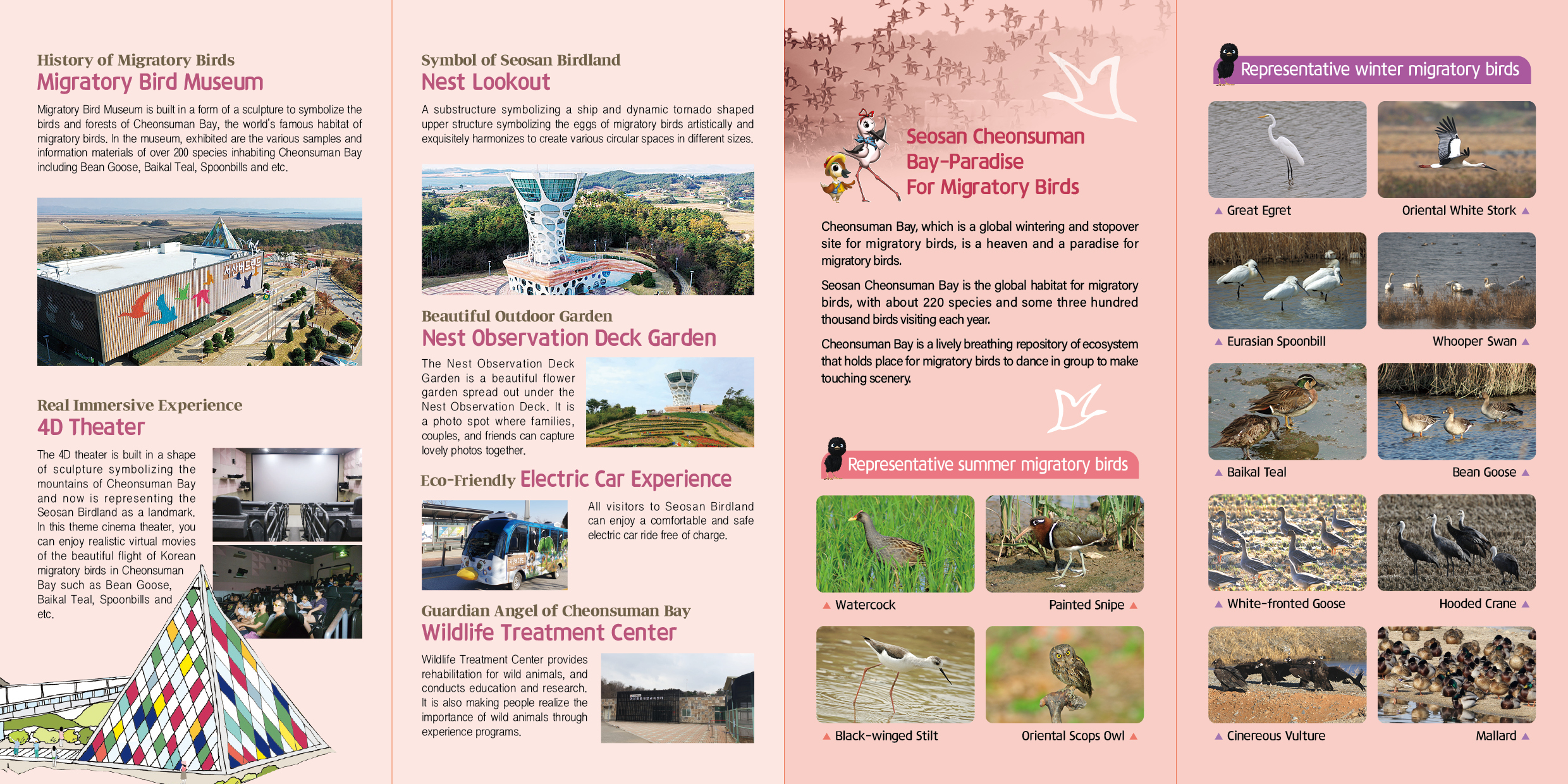 Learn More About Seosan Birdland, Venue of the 14th Asian Bird Fair ...